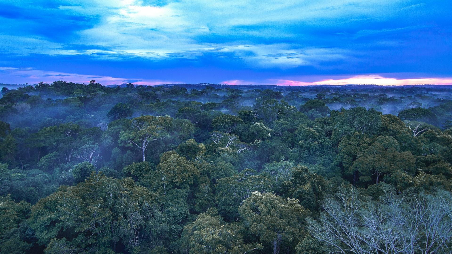 Pacotes de viagem para Alta Floresta | Entreverdes Viagens