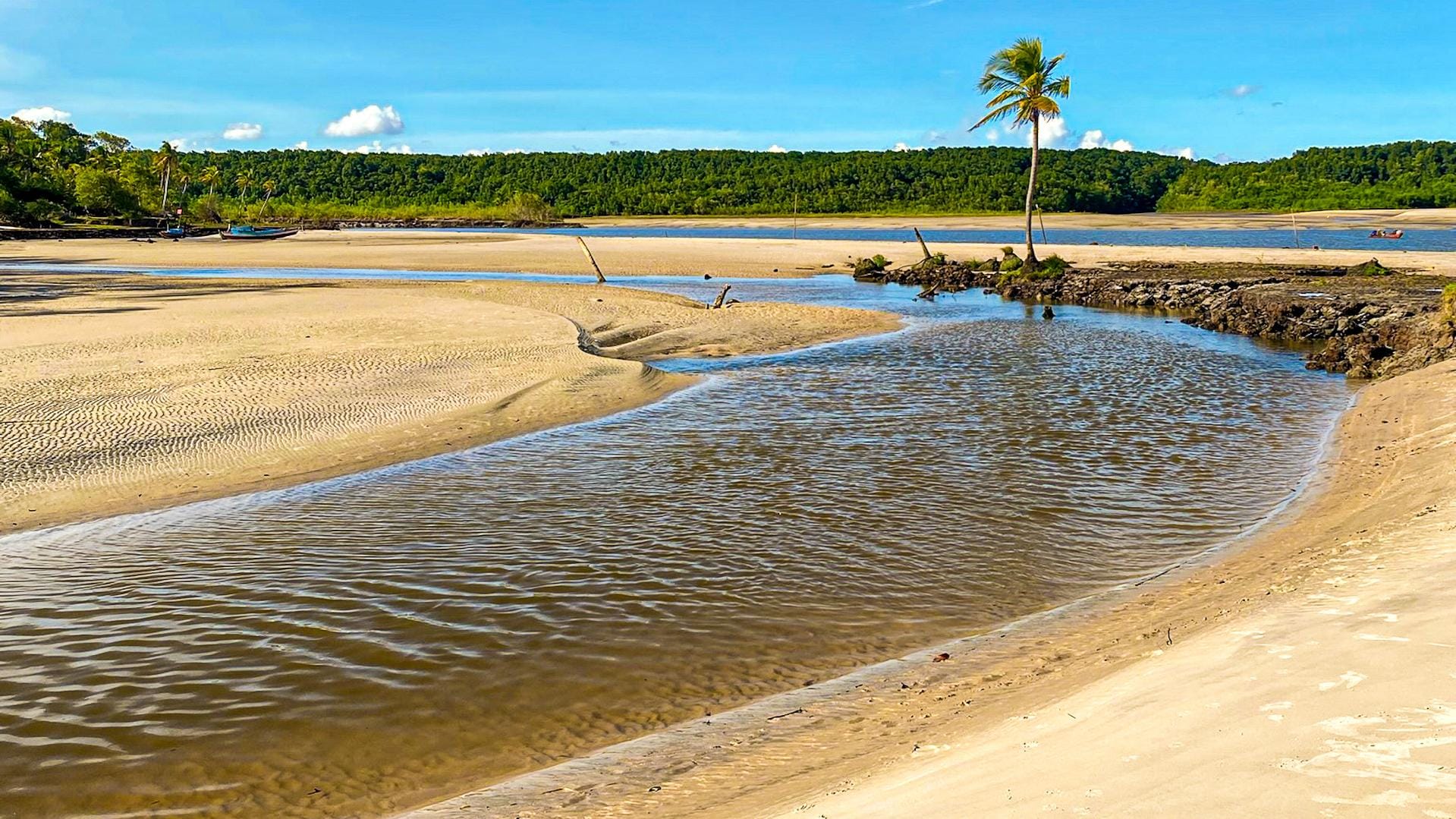 Pacotes de viagem para Ilha de Marajó | Entreverdes Viagens